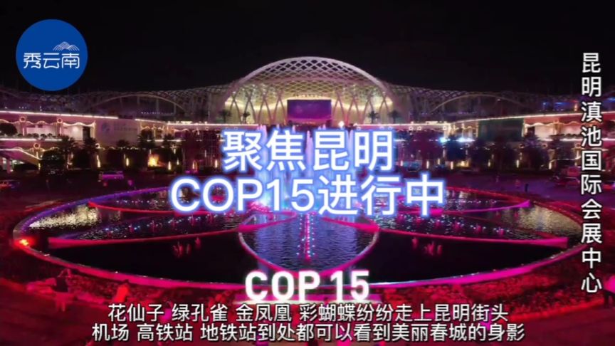 【秀云南】生物多样性大会COP15,聚焦昆明进行中