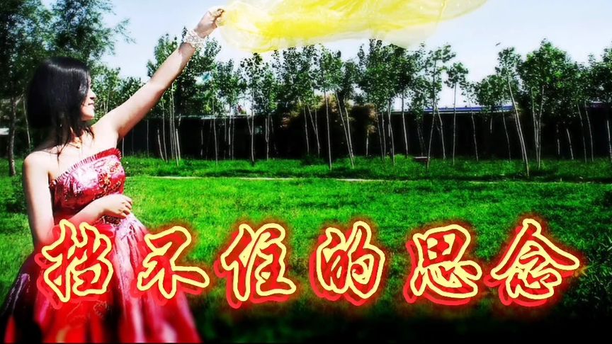 二胡演奏《挡不住的思念》