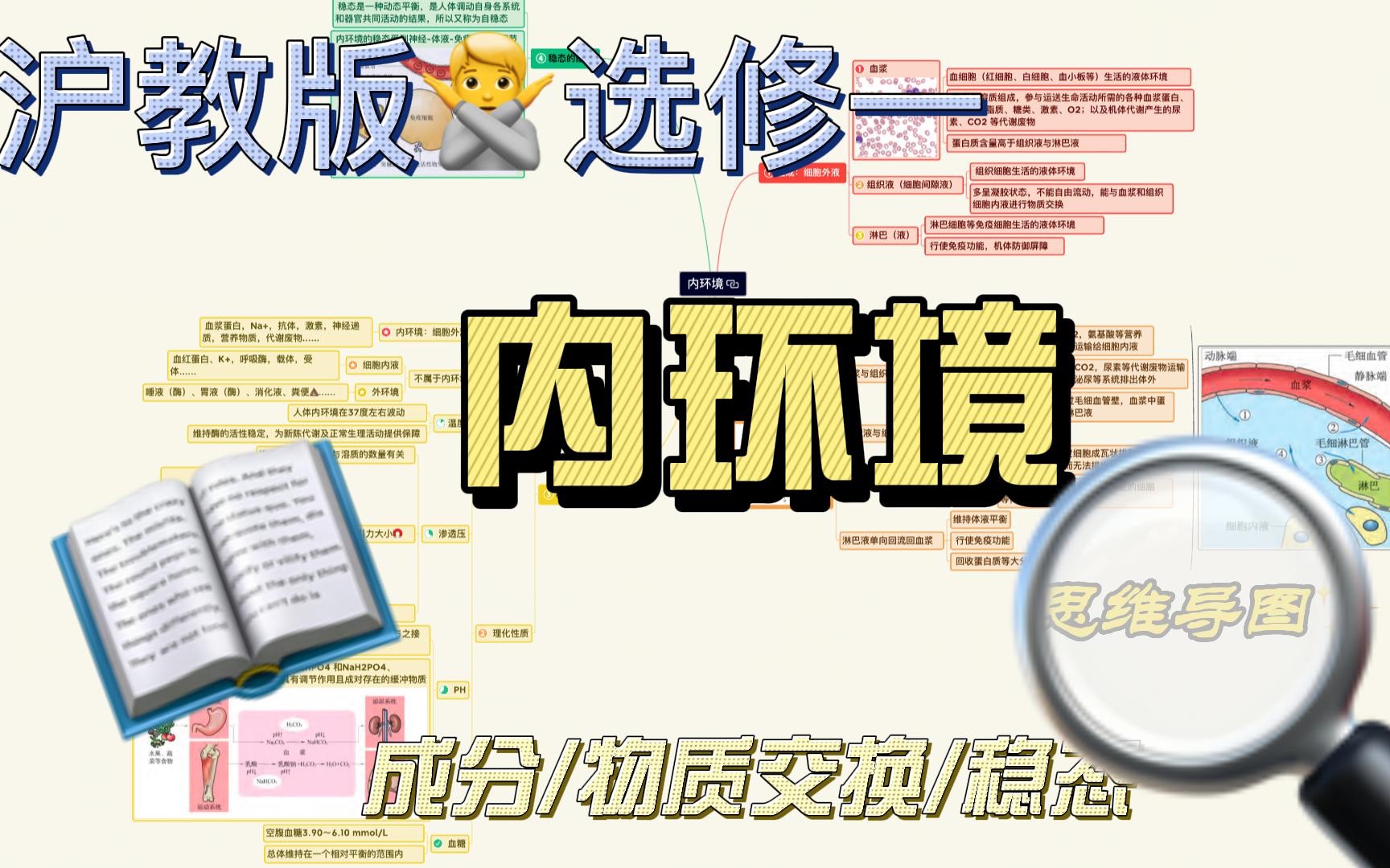 沪教版生物学新教材选择性必修一内环境思维导图