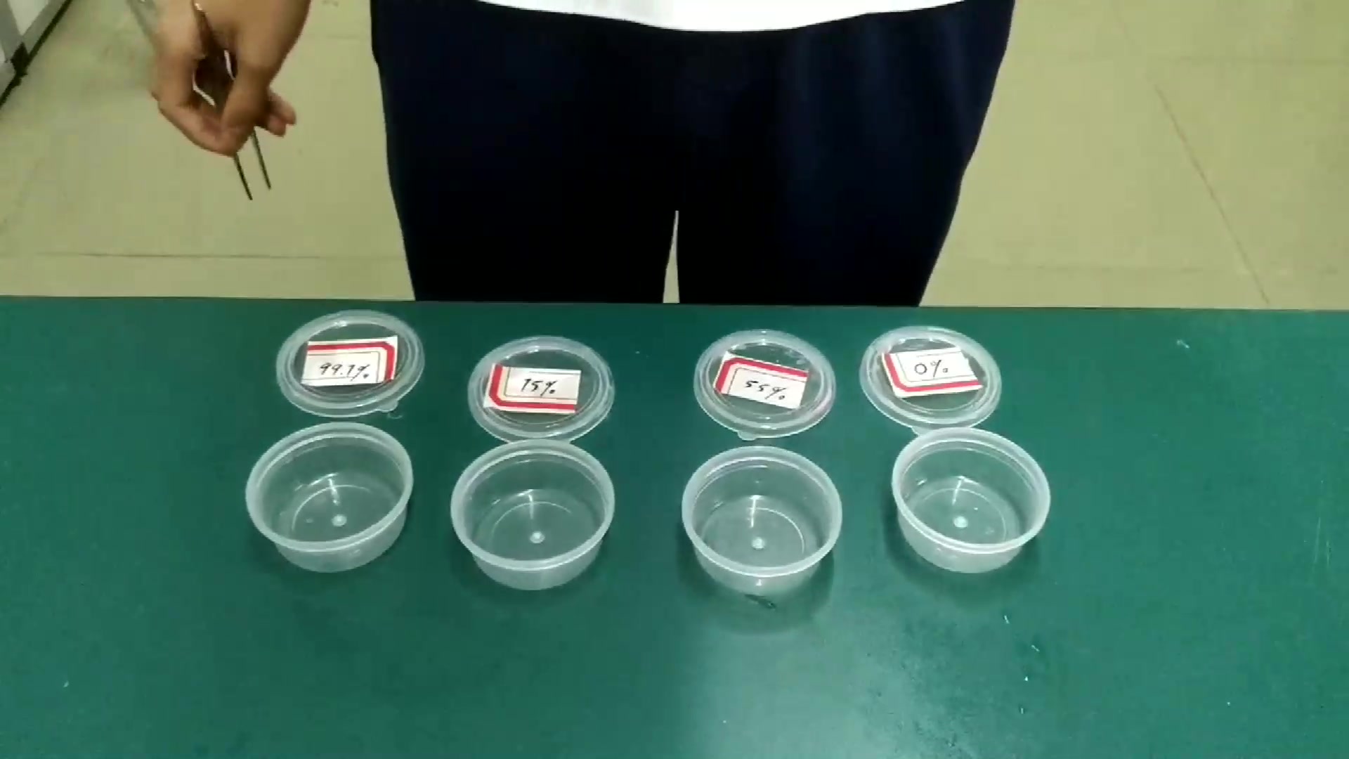 2020陶育九年3班家庭实验100秒之探究不同浓度的酒精杀菌效果