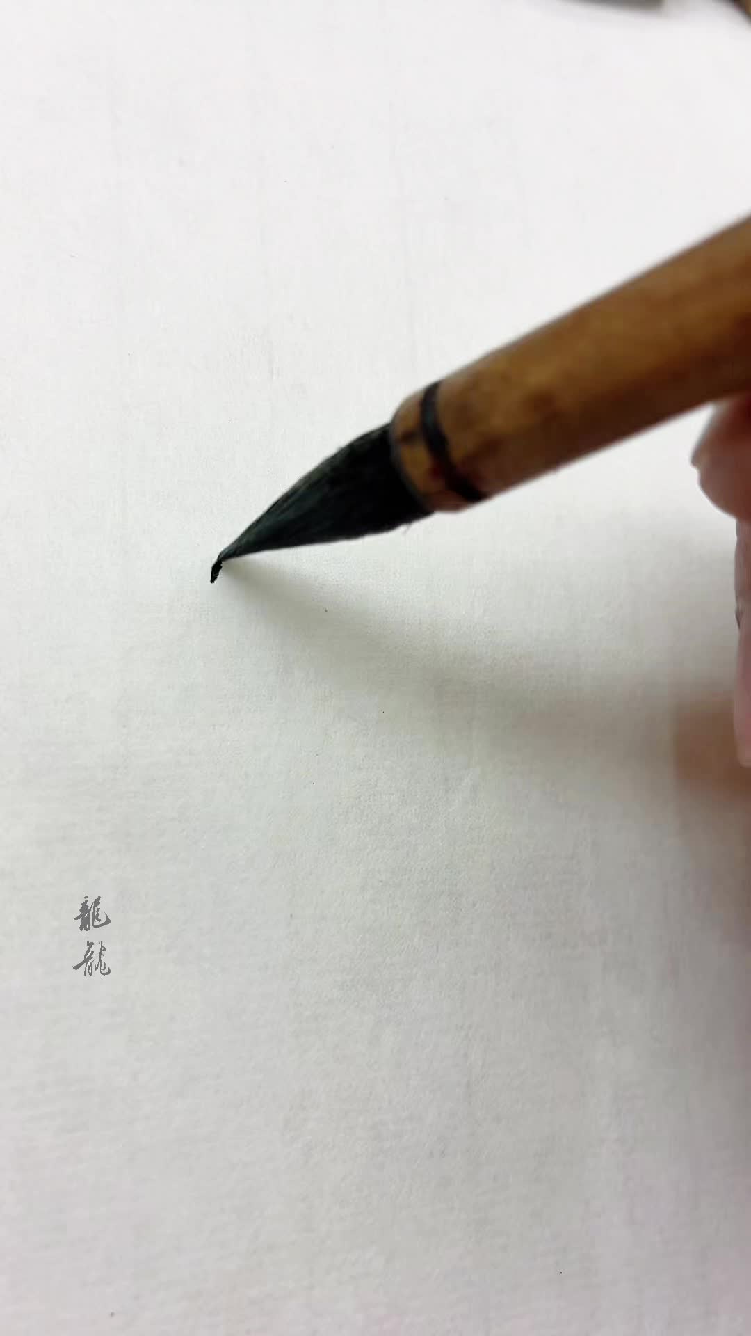 国画水墨写意 画燕子#水墨写意 #画画使我快乐 #国画 #零基础国画 #...