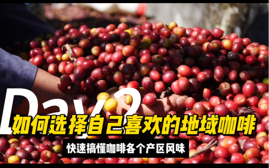 咖啡豆不同产区分类与味道识别的干货咖啡科普知识