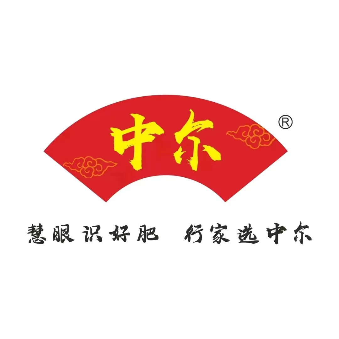 中尔旗舰店 