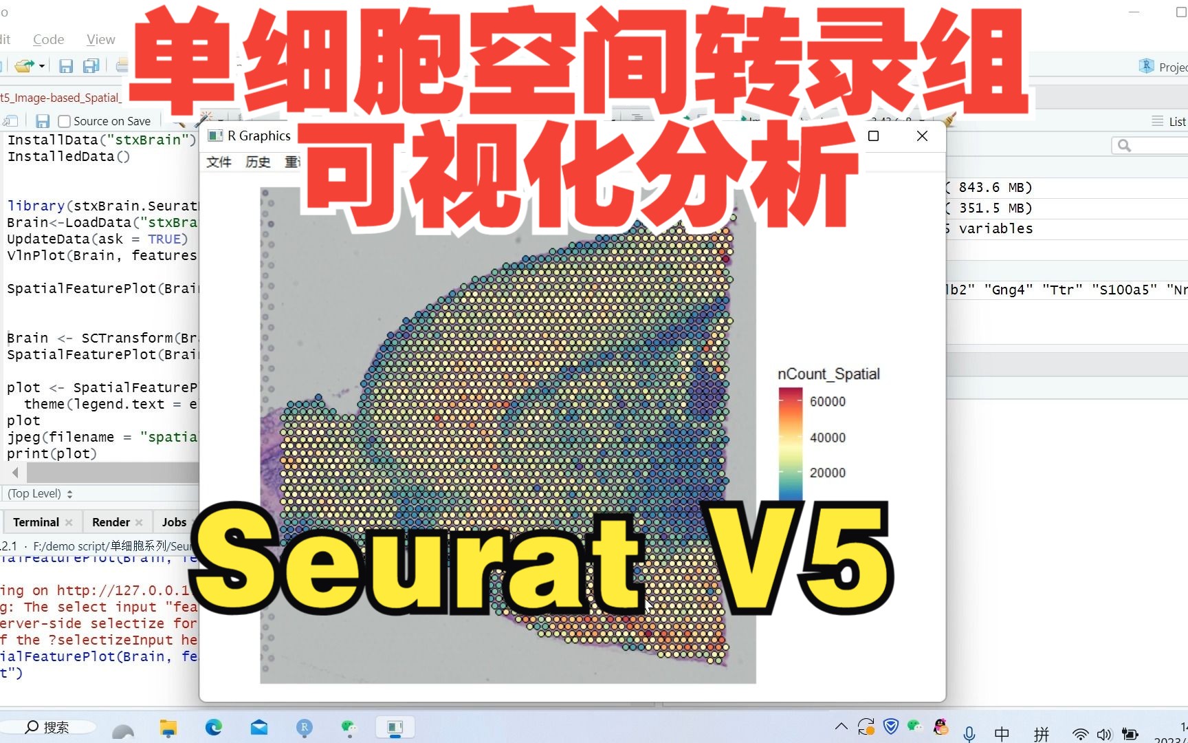 SCS【21】单细胞空间转录组可视化 (Seurat V5)