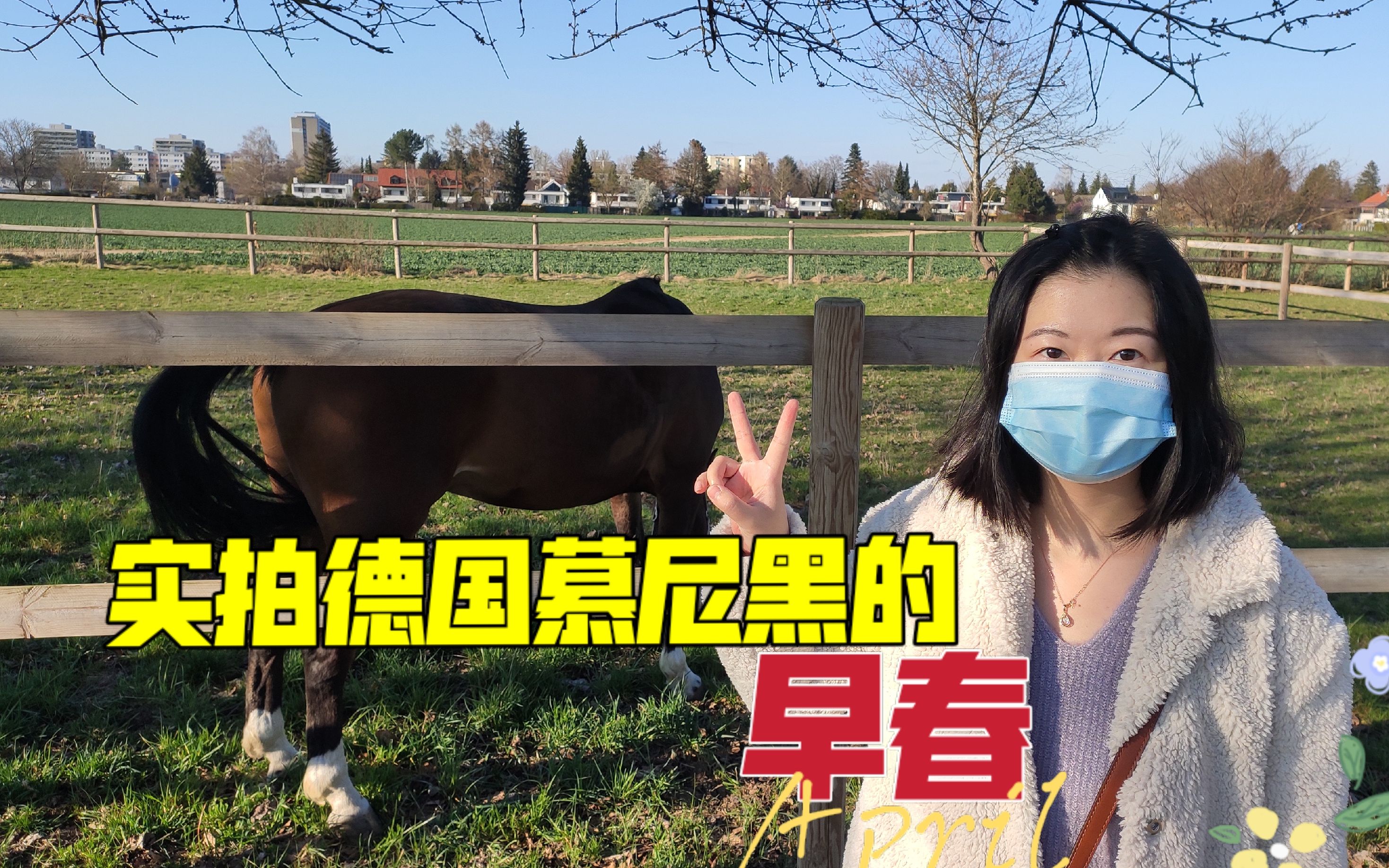 德国大城市生活啥样?为啥这么像农村,跟中国大城市差别真大