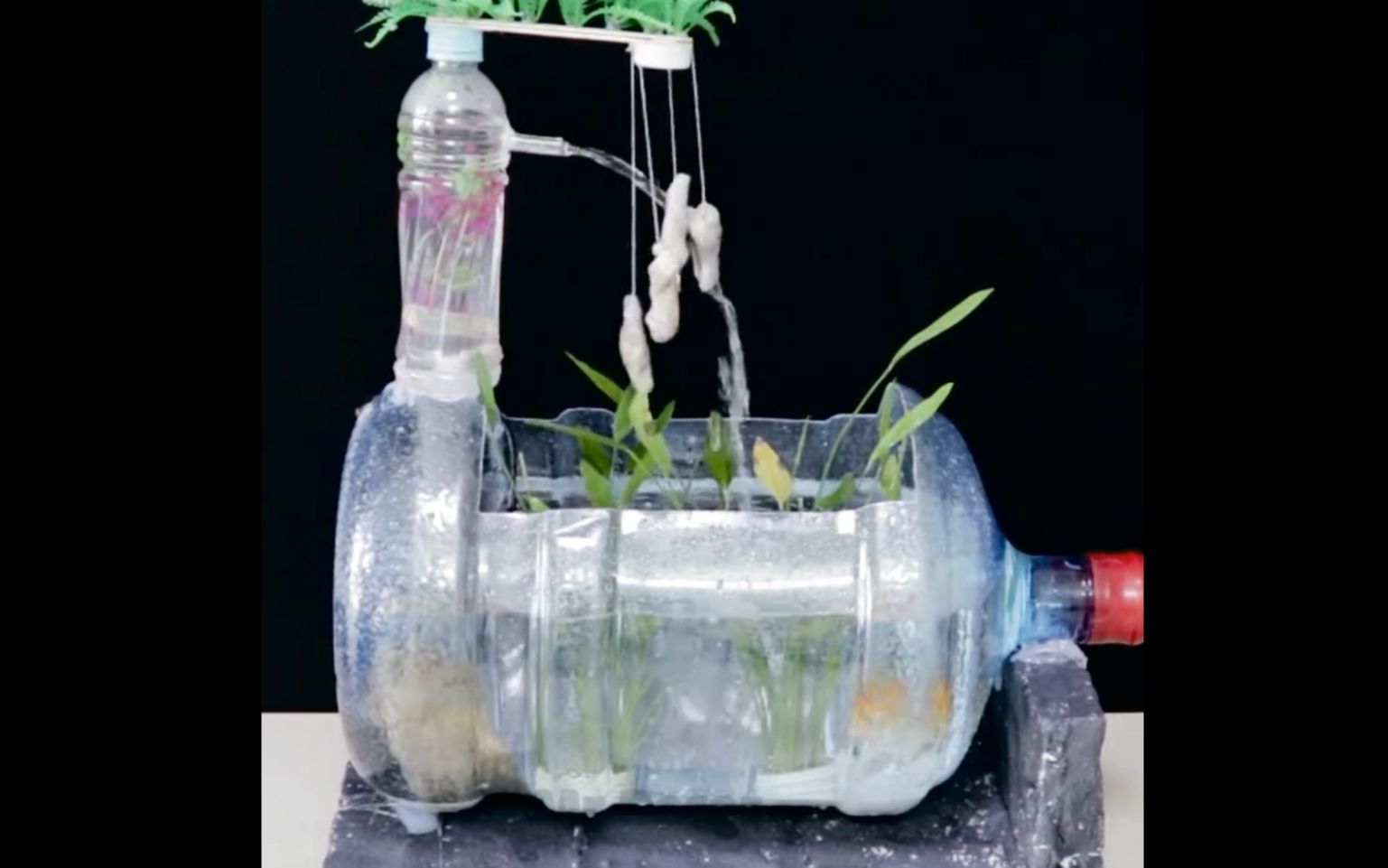 手工制作,纯净水桶改装,精美的鱼缸-1