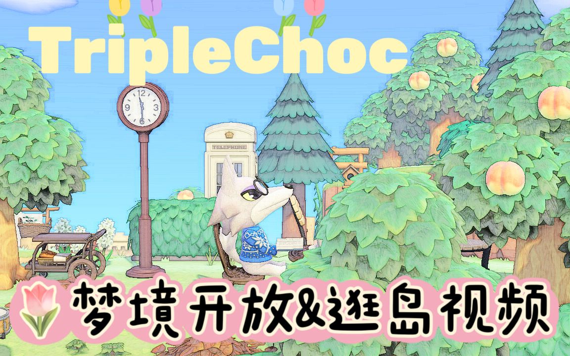 【动物森友会】岛建3.0!简约开阔的小岛,不掉帧不迷路回归游戏初心～