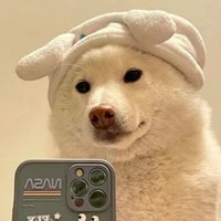 凡人刺客培养皿 