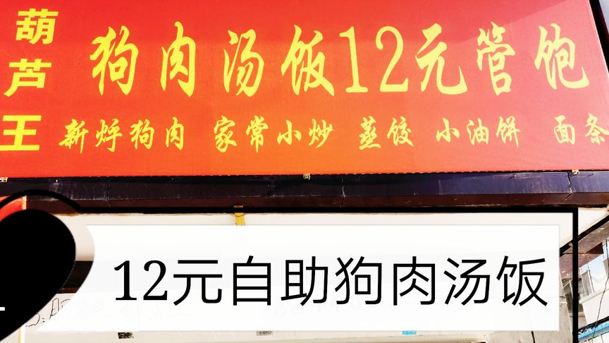 12元自助狗肉汤饭,米饭、狗肉汤随便吃 小马哥连吃两大碗 真过瘾