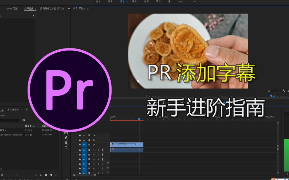 PR新手教程,利用文本工具给视频添加标题字幕