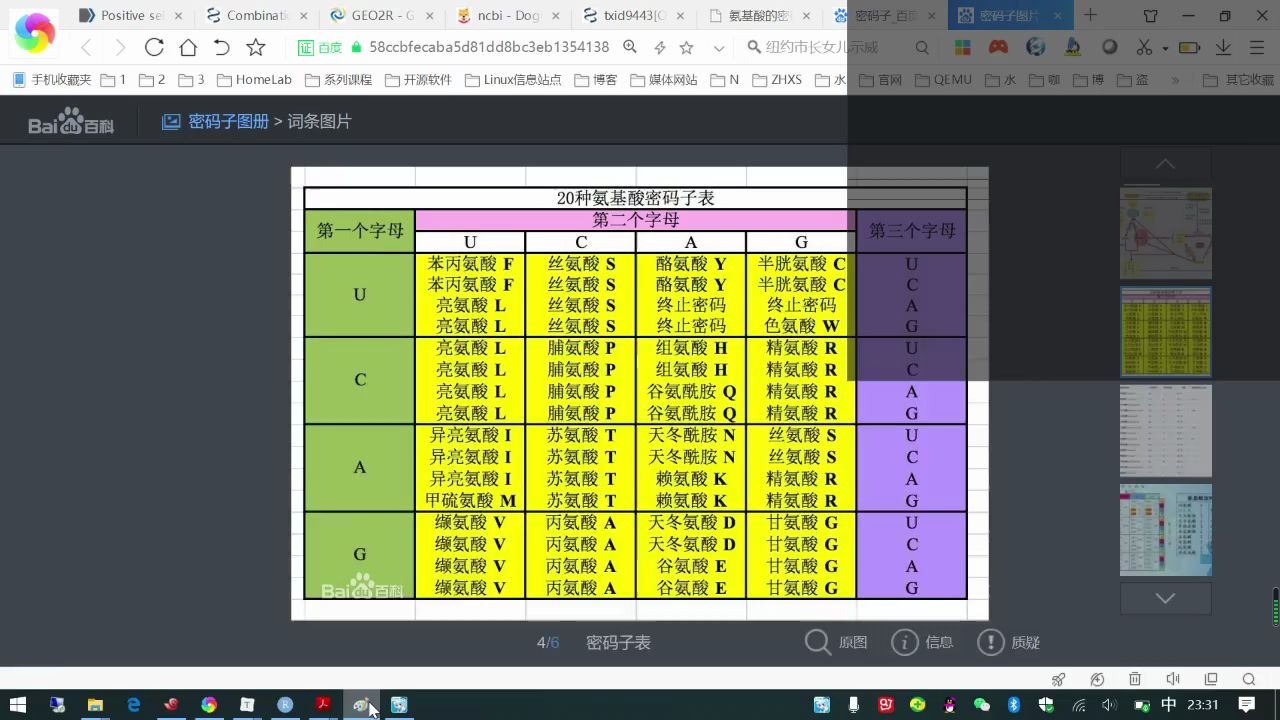 如何运用“生物信息学”研究某个蛋白?——正选择位点分析-1