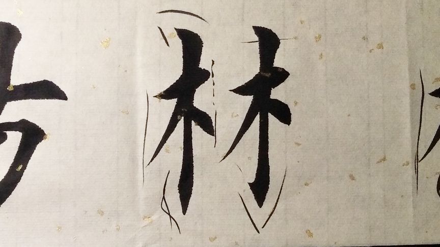 木字旁的重点分析,其实有两种写法!