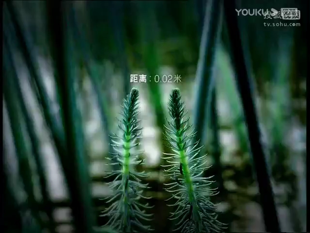 中国电信形象宣传片-1000