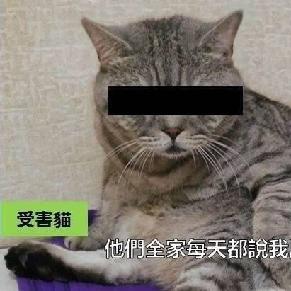 鑫配网的鑫小资 