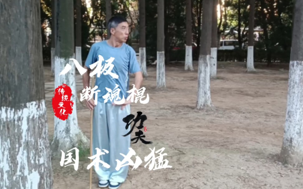 ...断魂棍”,套路的衍生没有任何多余动作,招法凌厉简单,凶猛霸道实用!