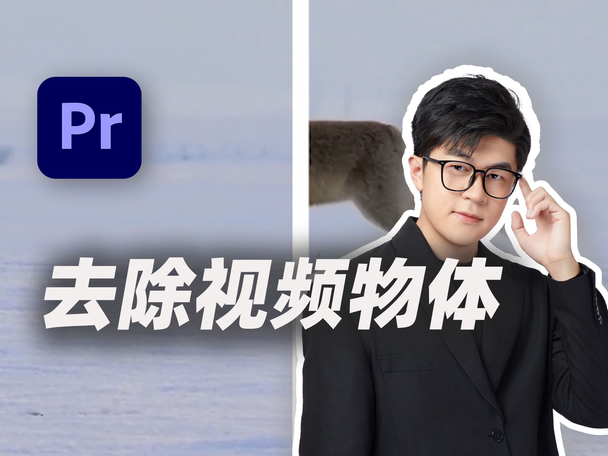 【政哥必看教程】PR中使用Mocha pro去除运动物体/人物效果的教程
