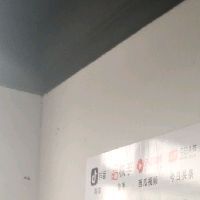 小张爱生活354