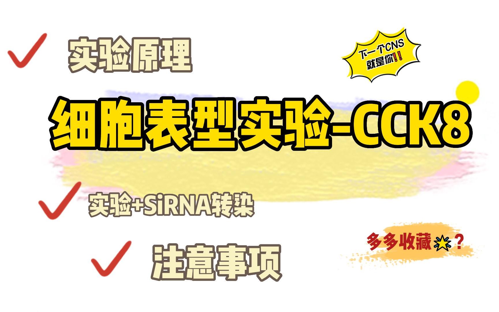 细胞表型实验|细胞增殖|CCK8|实验原理|siRNA转染的板布局|实验步骤|...