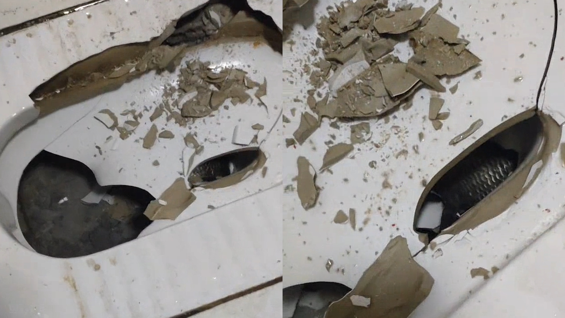 店铺厕所被堵近1年疏通数十次未果,工人砸开蹲便器一看,太意外