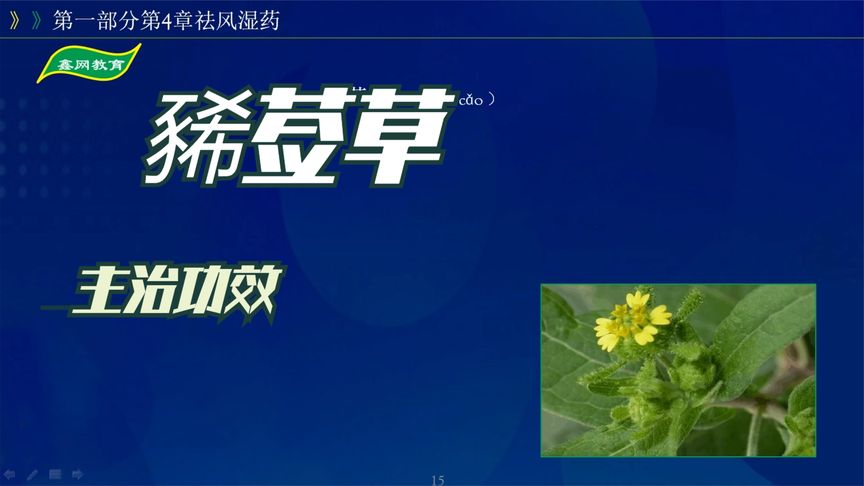 中药-豨莶草的主治功效