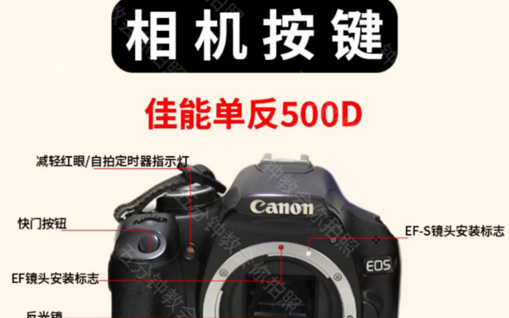探索佳能500D的按键界面:了解你需要的所有要点