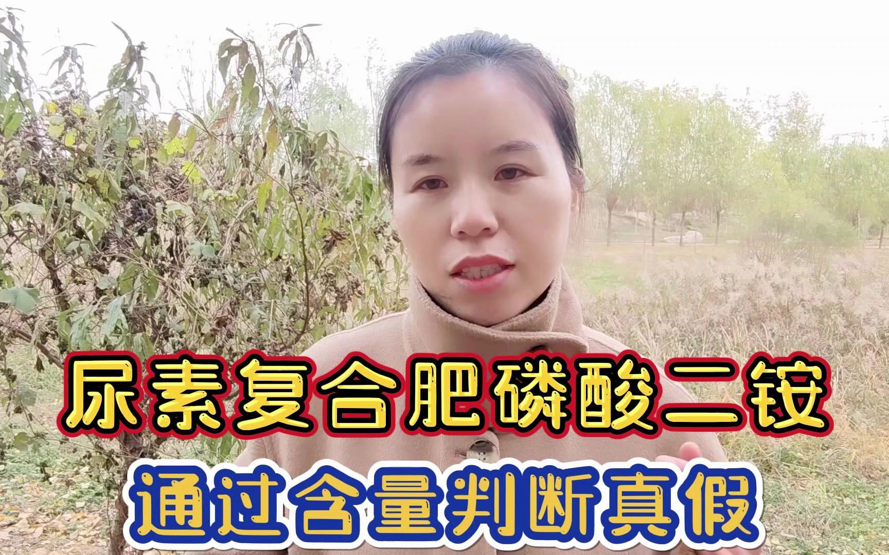 尿素、复合肥、磷酸二铵,如何通过含量来辨别这三种肥料的真假