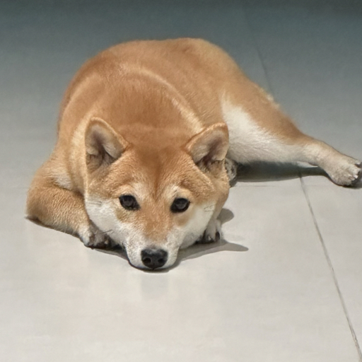 老李的AI研究 