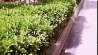 中孚教育财商思维枫哥FGNL666买房看五证,交房要两书一表。