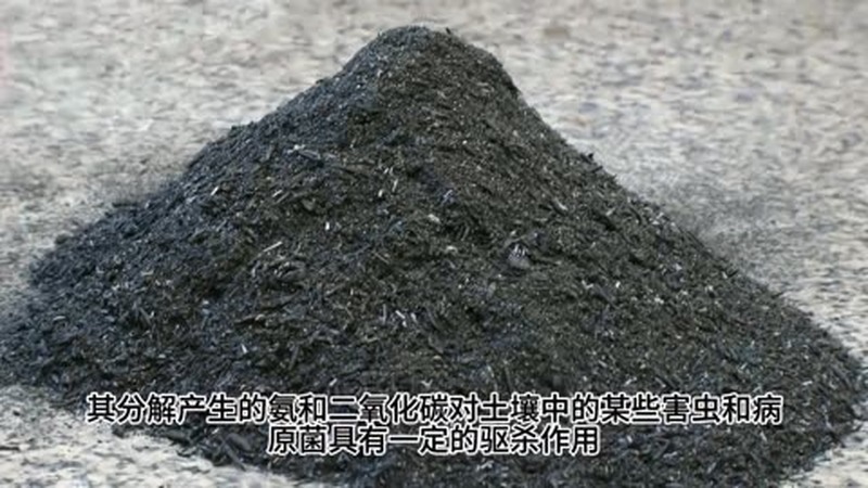 碳铵肥料的功效有哪些