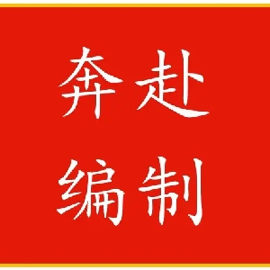 奔赴编制 