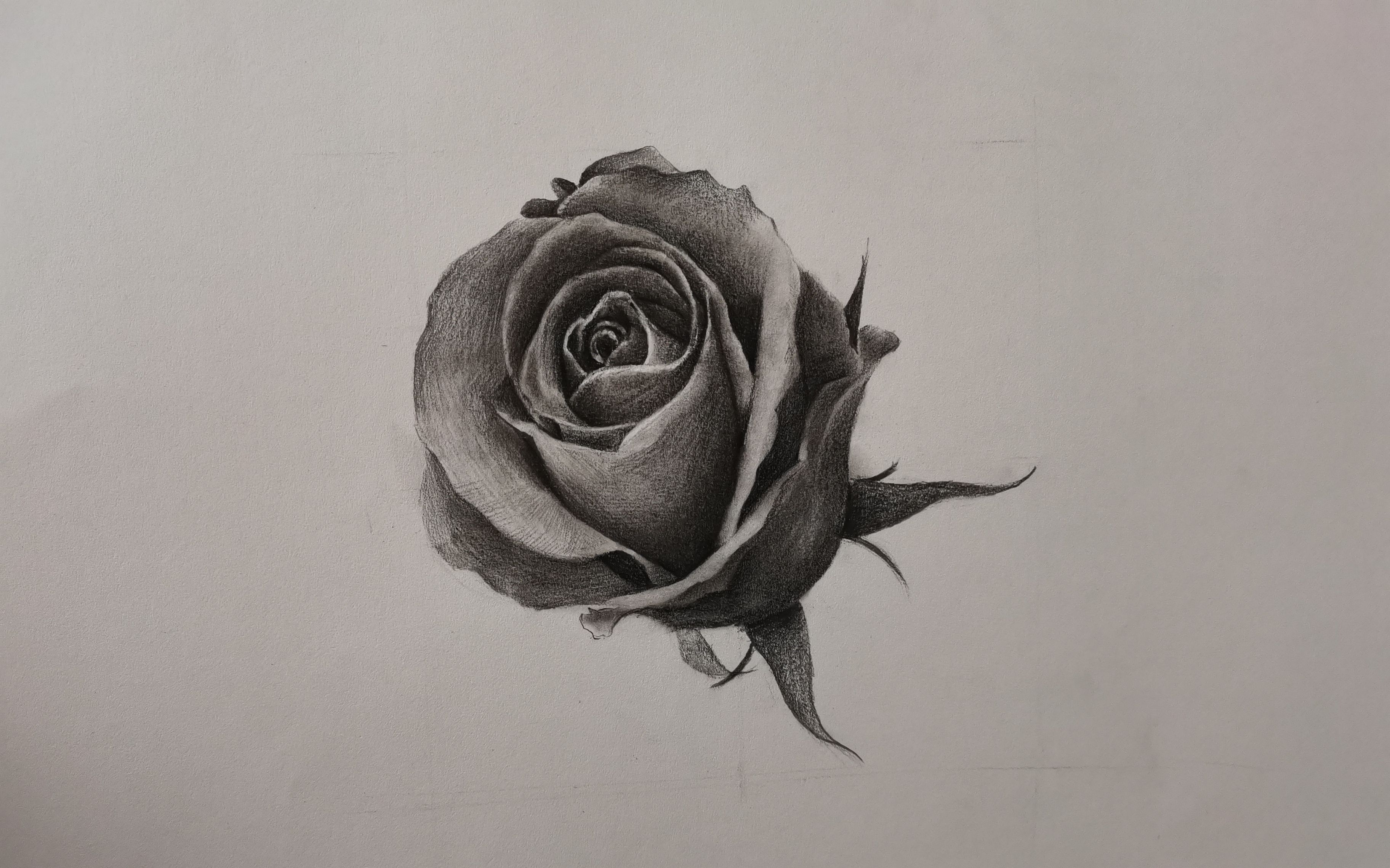 小白教学,老师全程打嗝画完的玫瑰【素描干货丨】