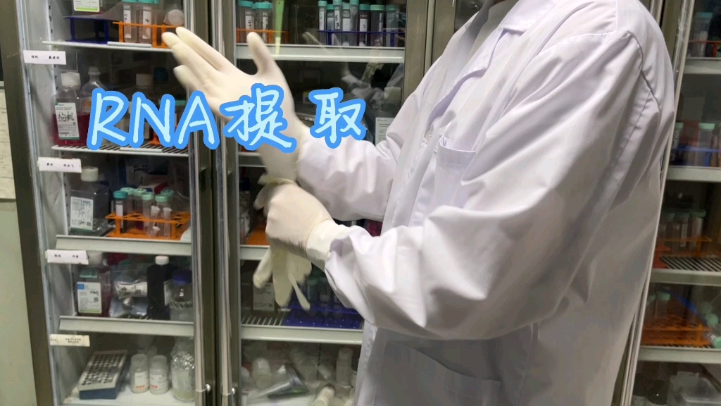 科研必备技能,Trizol法提取RNA,记录枯燥的科研生活
