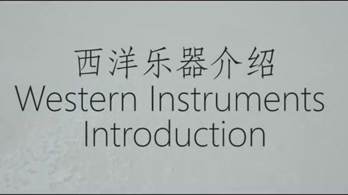 干货储备分享|西洋乐器介绍-爱音乐的你 对乐器有多少了解