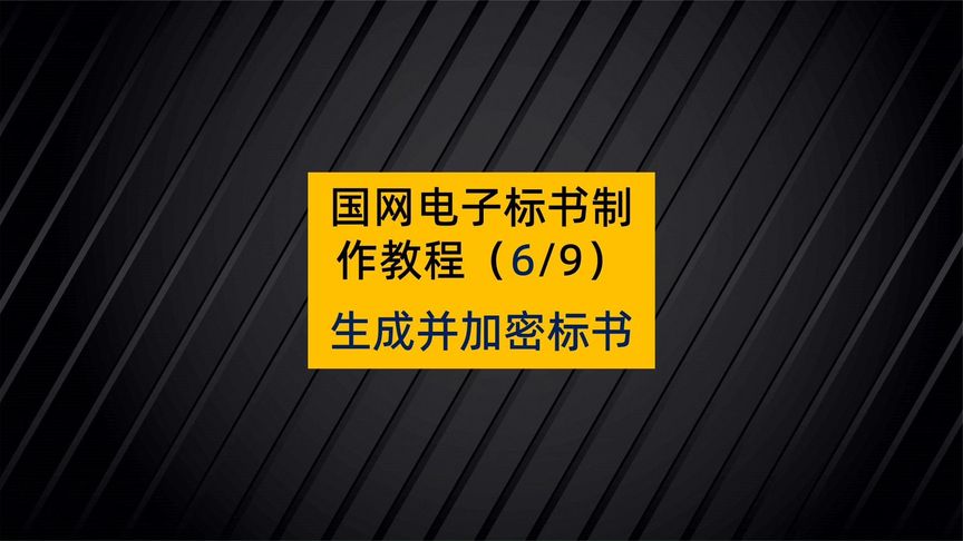 国网电子标书制作教程(6/9)生成并加密标书