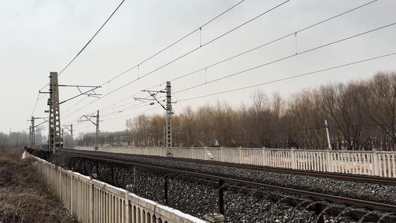 这个火车复兴号的速度有的呢 Z69北京西-乌鲁木齐