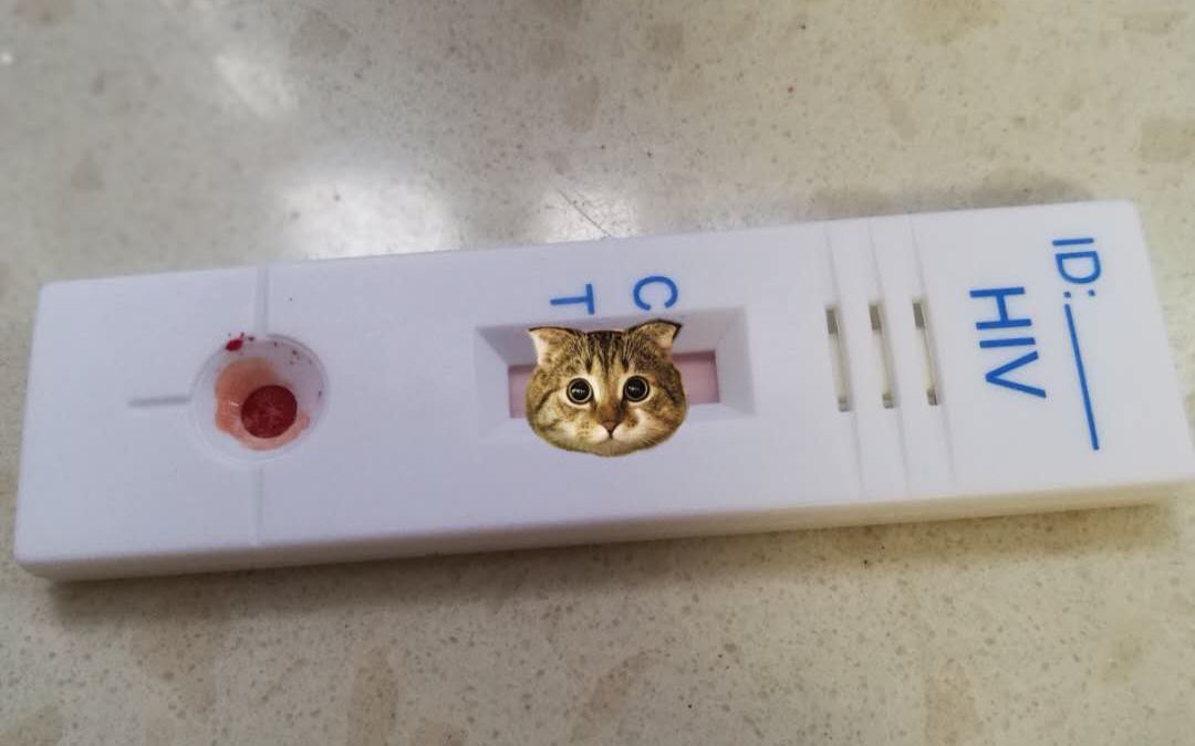 HIV快速检测