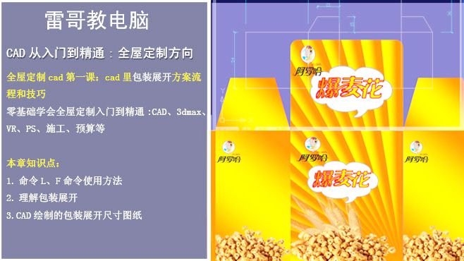 cad绘制平面包装展开图,导入ps或cdr再制作效果,全网首创发布!