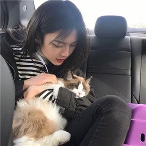 星食季 