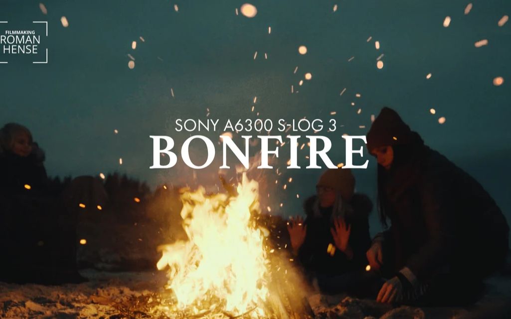 Roman Hense 用于 S-LOG 颜色分级电影感CINEMATIC LUT CUBE