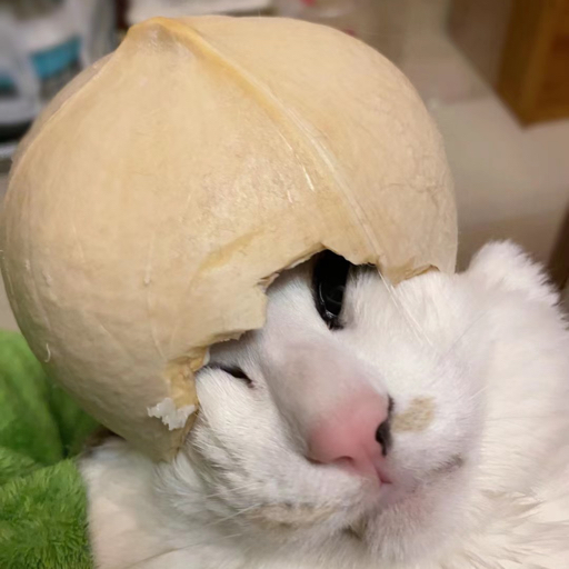 鸽子蘸酱油_ 