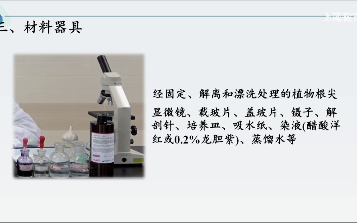 生物学 必修1 实验:5-1 观察植物细胞根尖有丝分裂