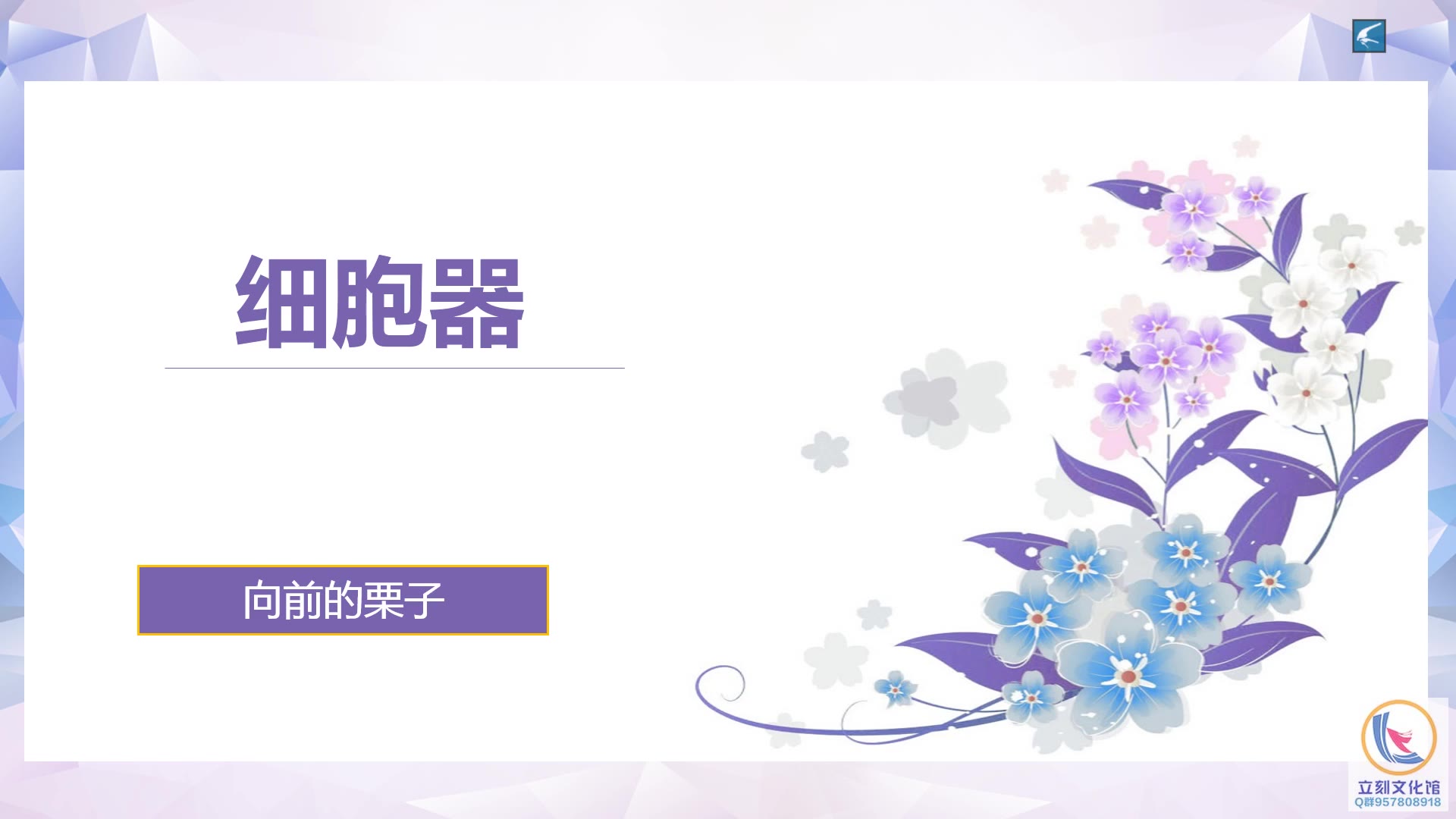 18.向前的栗子生物课——细胞器