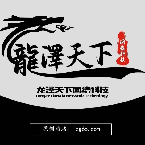 龙泽天下网络科技 