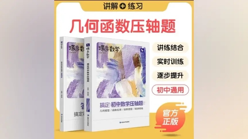 2023版蝶变中考数学压轴题精讲精练初中几何函数全解析专项训练