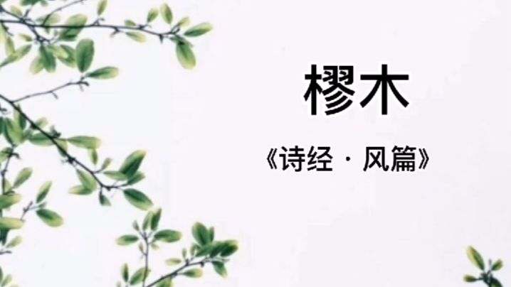 【诗经 第2期 风·周南·樛木】