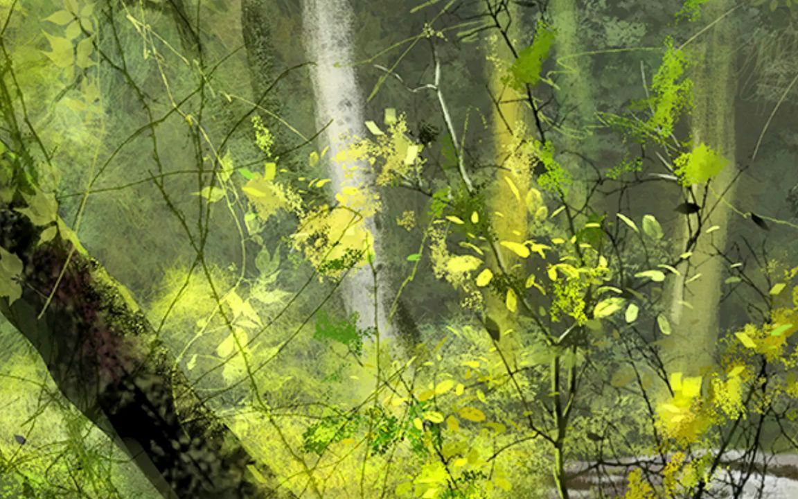 电脑和数位板:数码绘画