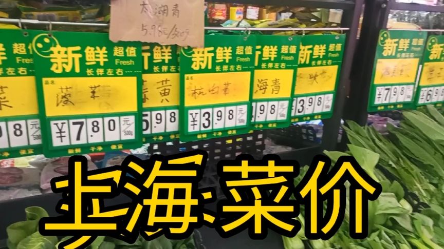 上海菜价的天花板,逛了半天还是买根葱算了吧吃不起啊!
