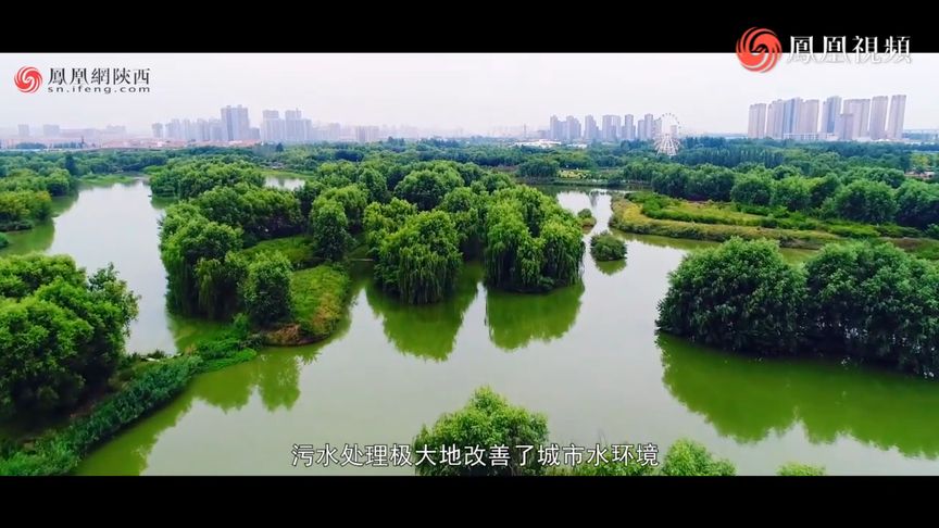 Ifeng趣科普 | 城市污水怎么才能无害回归环境?