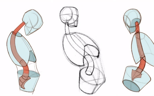 【绘画教程】Proko教你如何画脊椎-1P脊椎的解剖讲解-2P如何动态地...