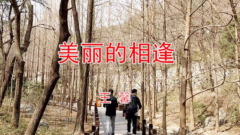 与你相遇,就是一个《美丽的相逢》,我愿与你今生共相守
